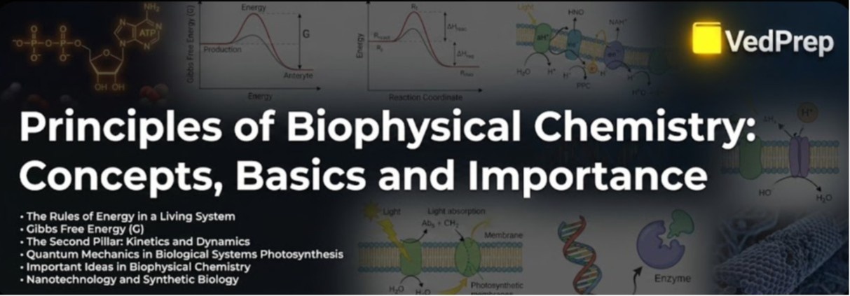 Biophysical Chemistry: 3 Vital Pillars to Beat Fear